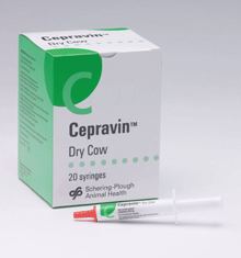 Cepravin Dry Cow 250mg Intramammary suspension - MSD Animal Health ...