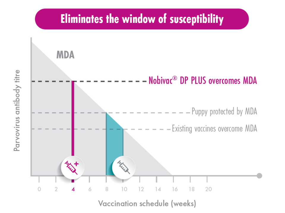 Nobivac DP PLUS vet - MSD Animal Health Republic of Ireland Nobivac DP PLUS vet - MSD Animal Health Republic of Ireland