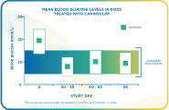 Blood Glucose Levels In Puppies At Michelle Bishop Blog