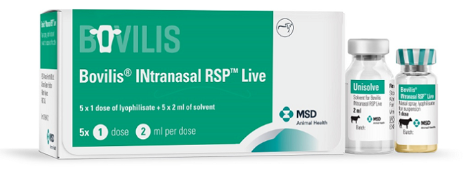 Bovilis INtranasal RSP Live - MSD Animal Health Republic of Ireland
