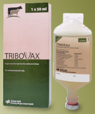 Tribovax 10 - MSD Animal Health Republic of Ireland